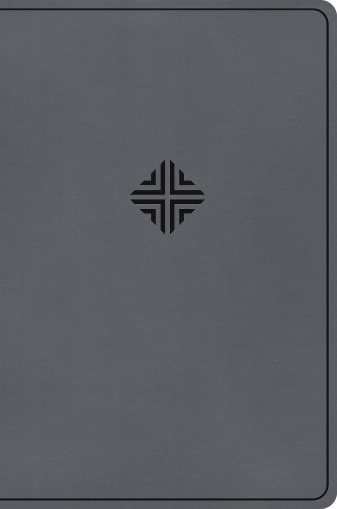 CSB Large Print Thinline Bible (Value Edition)-Charcoal LeatherTouch ...